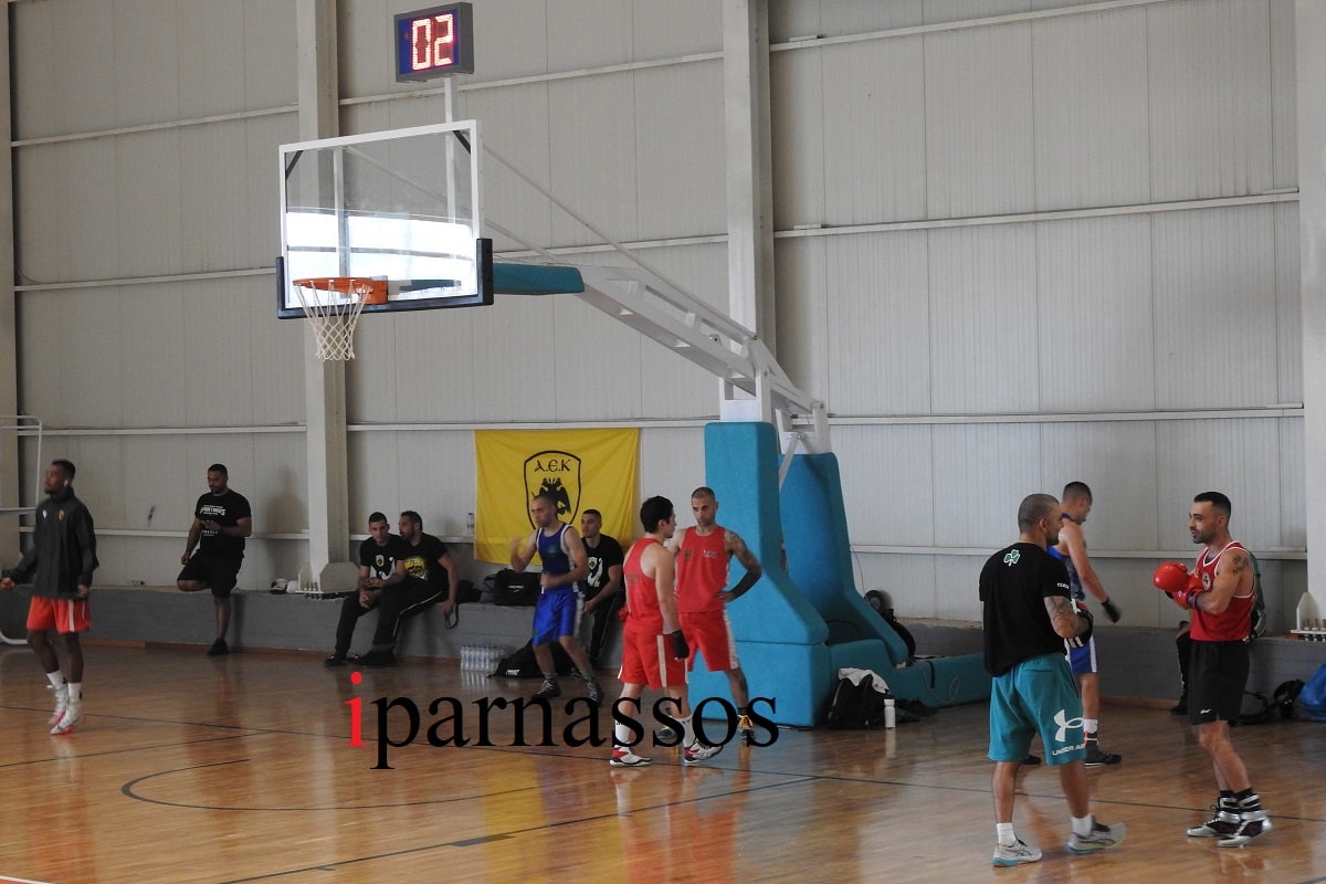 Στην Αντίκυρα “χτυπά” ο παλμός του Μποξ (Video-Photos) – iparnassos