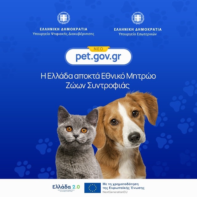 Πως δηλώνω το κατοικίδιο μου στο pet.gov.gr. Τα πρόστιμα και οι ...